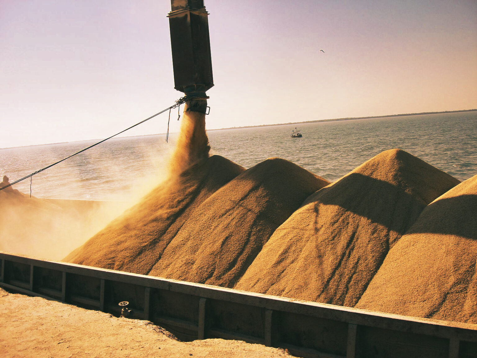 Ship & Barge Bulk Loading Conveyor System - Napier Grass