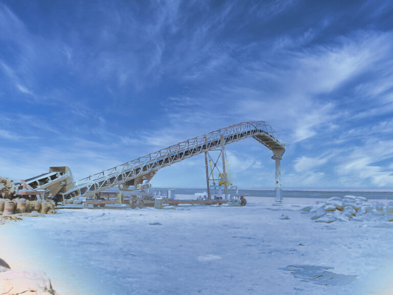 Ship & Barge Bulk Loading Conveyor System - Napier Grass