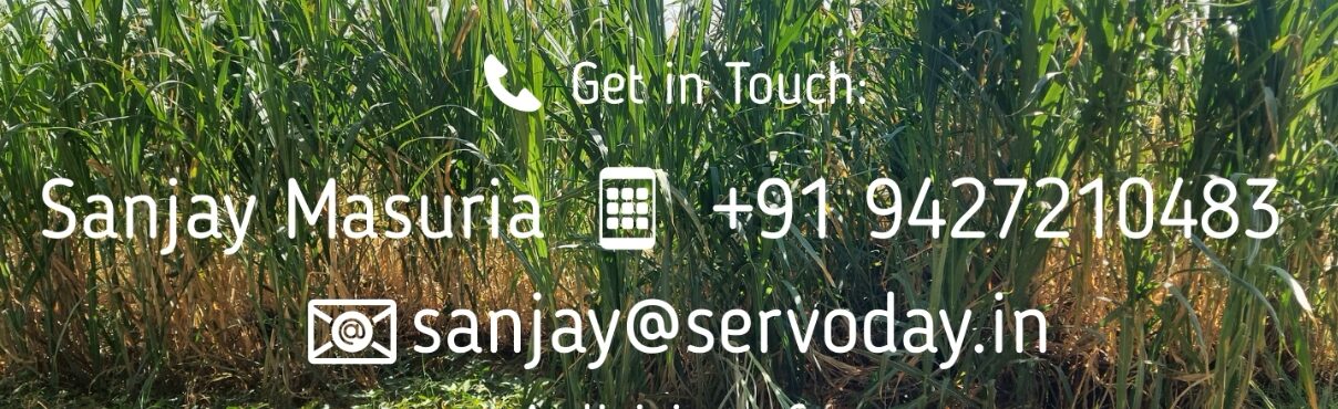 India’s First Napier Grass Pellet Plant - Napier Grass